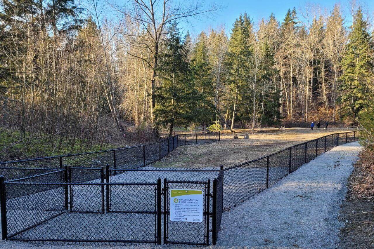 Off-Leash Dog Park – Joe Brown Park – Panorama Ridge